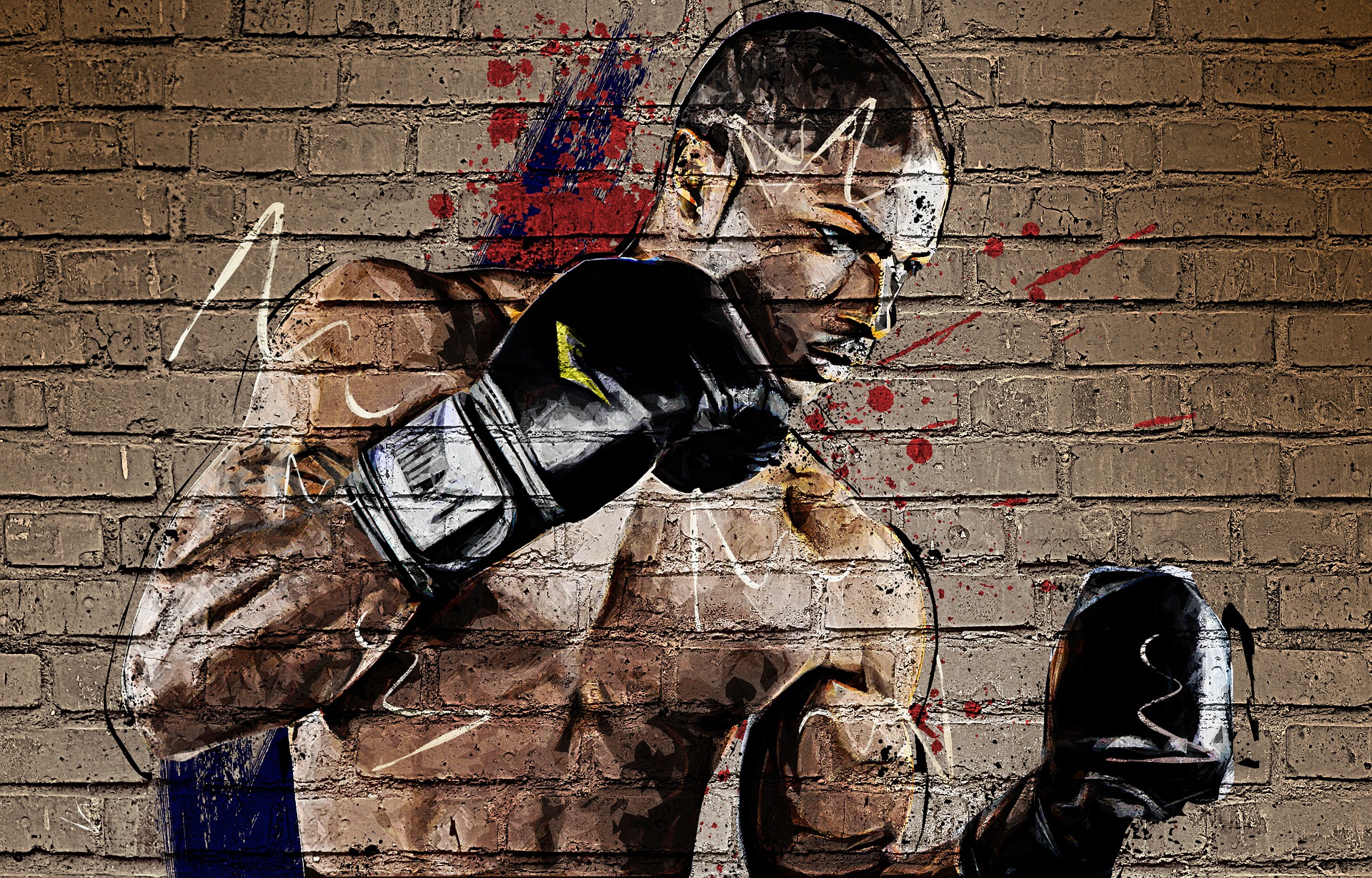 Les meilleurs livres sur la boxe - Best Livres
